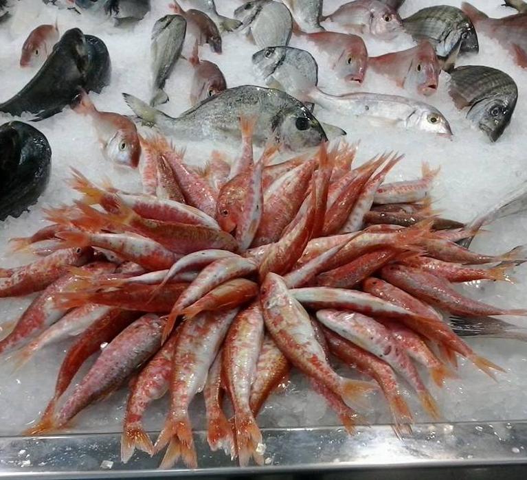 Ιχθυοπωλείο ψάρια ψητά Χαλάνδρι σε Χαλάνδρι - Γενικά | Ιχθυοπωλεία σε ...