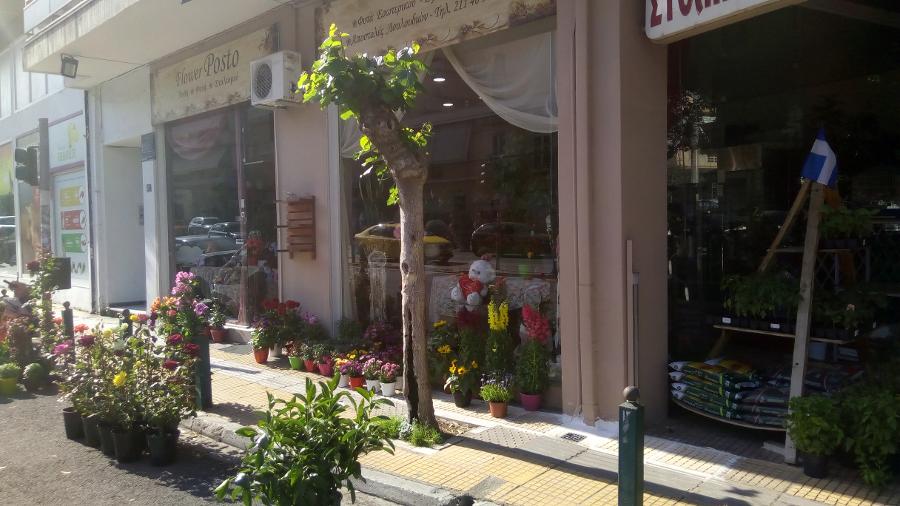 Flowers Posto Ανθοπωλείο Κάτω Πατήσια σε Αθήνα - Φωτογραφίες ...
