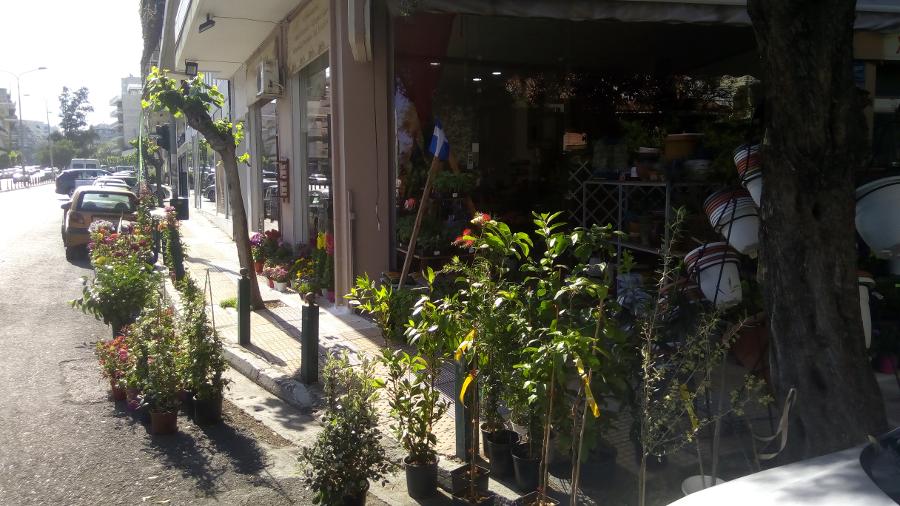 Flowers Posto Ανθοπωλείο Κάτω Πατήσια σε Αθήνα - Φωτογραφίες ...