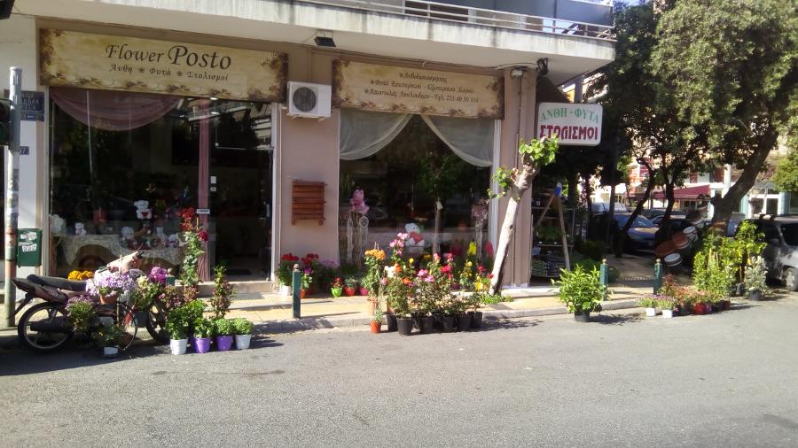 Flowers Posto Ανθοπωλείο Κάτω Πατήσια σε Αθήνα - Φωτογραφίες ...