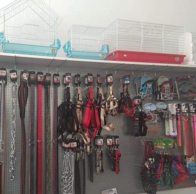 Pet shop Καματερό σε Καματερό - Γενικά | Pet shop, Κατοικίδια Ζώα σε ...