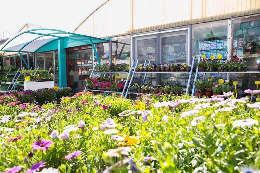 My Garden, Φυτώριο Νέο Ηράκλειο σε Νέο Ηράκλειο - Φωτογραφίες | Φυτώρια ...