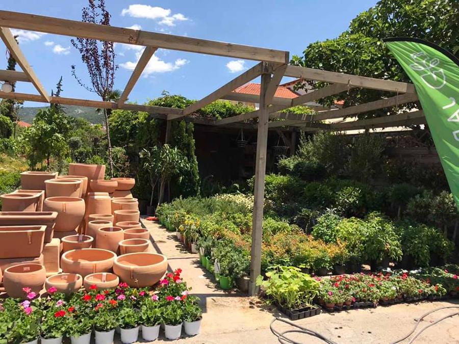 JARDINERO, Φυτώριο Νέα Ερυθραία, Κεφαλάρι σε Νέα Ερυθραία - Φωτογραφίες ...