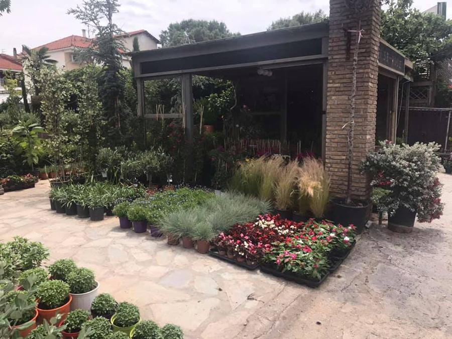 JARDINERO, Φυτώριο Νέα Ερυθραία, Κεφαλάρι σε Νέα Ερυθραία - Φωτογραφίες ...