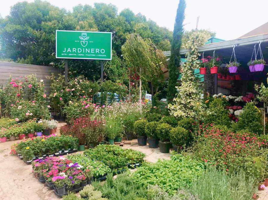 JARDINERO, Φυτώριο Νέα Ερυθραία, Κεφαλάρι σε Νέα Ερυθραία - Φωτογραφίες ...