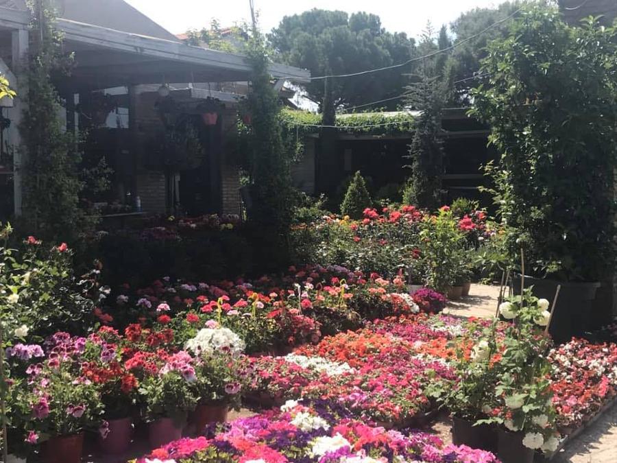 JARDINERO, Φυτώριο Νέα Ερυθραία, Κεφαλάρι σε Νέα Ερυθραία - Φωτογραφίες ...