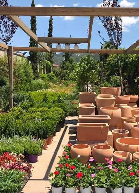 JARDINERO, Φυτώριο Νέα Ερυθραία, Κεφαλάρι σε Νέα Ερυθραία - Προσφορές ...