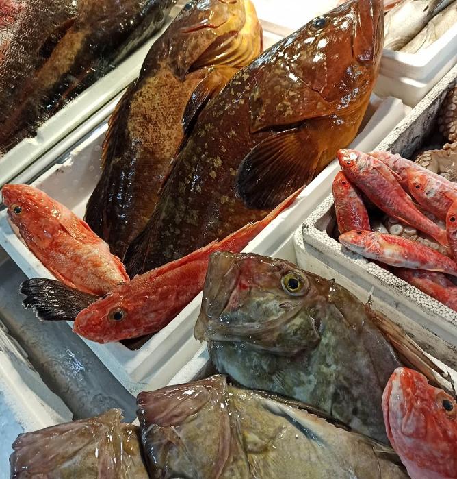 Η Ζαργάνα, Ψητό Ψάρι, Ιχθυοπωλείο Ίλιον σε Ίλιον - Γενικά | Ιχθυοπωλεία ...